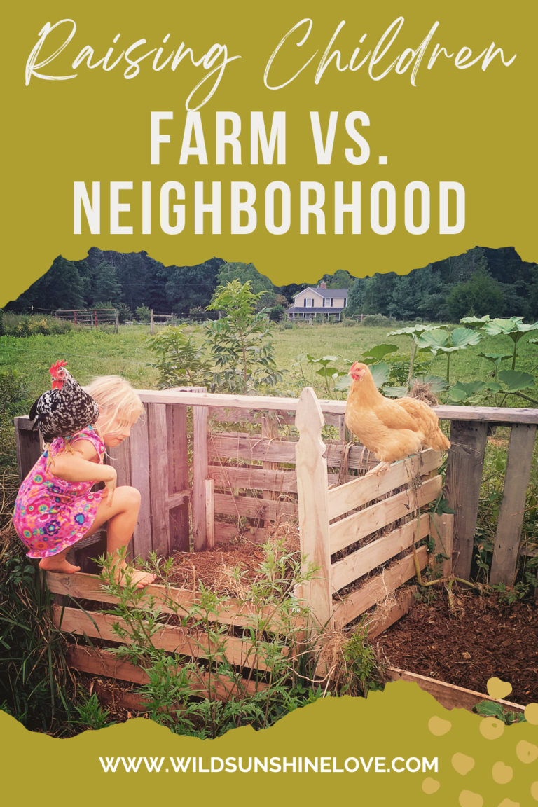 Raising Kids on a Farm or in a Neighborhood? - Wild Sunshine Love